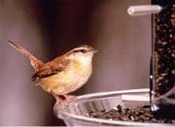 Wild Birds Unlimited - Nature Shop